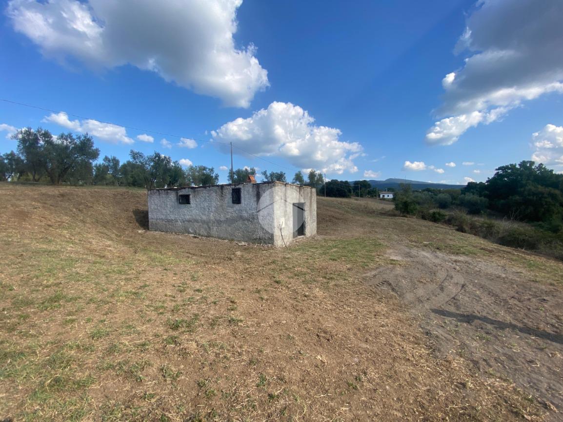 Rustico in vendita a Viterbo