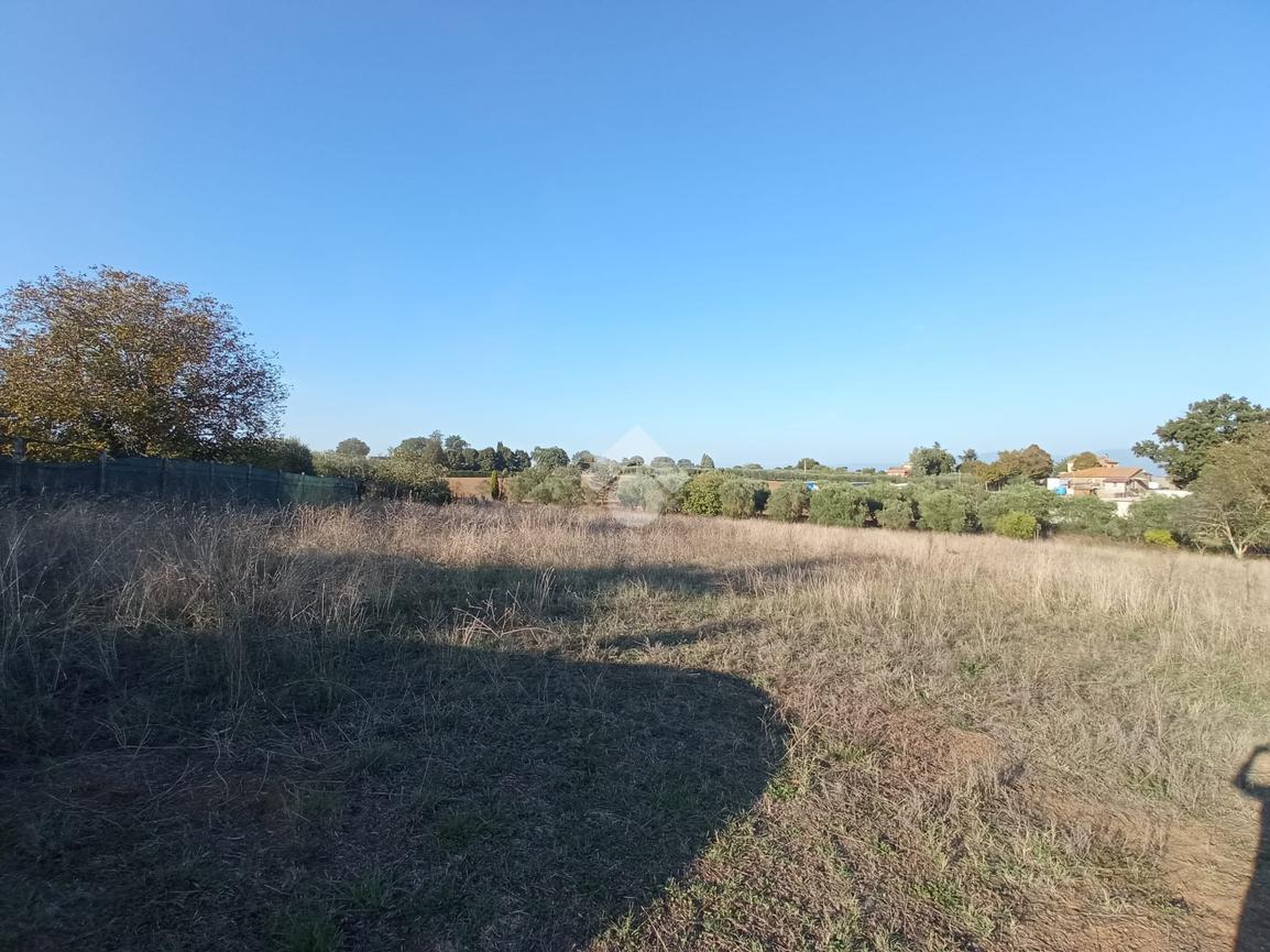 Terreno agricolo in vendita a Civita Castellana