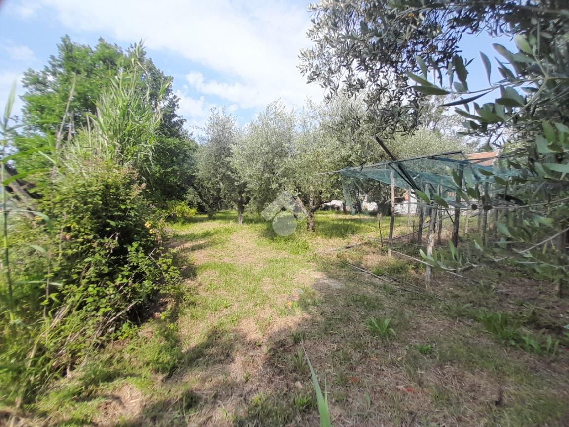 Casa indipendente in vendita a Avigliano Umbro