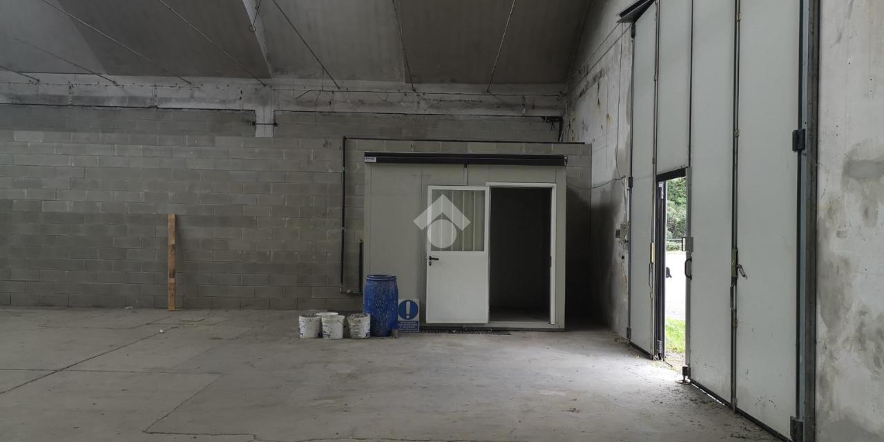 Capannone in affitto a Rovellasca