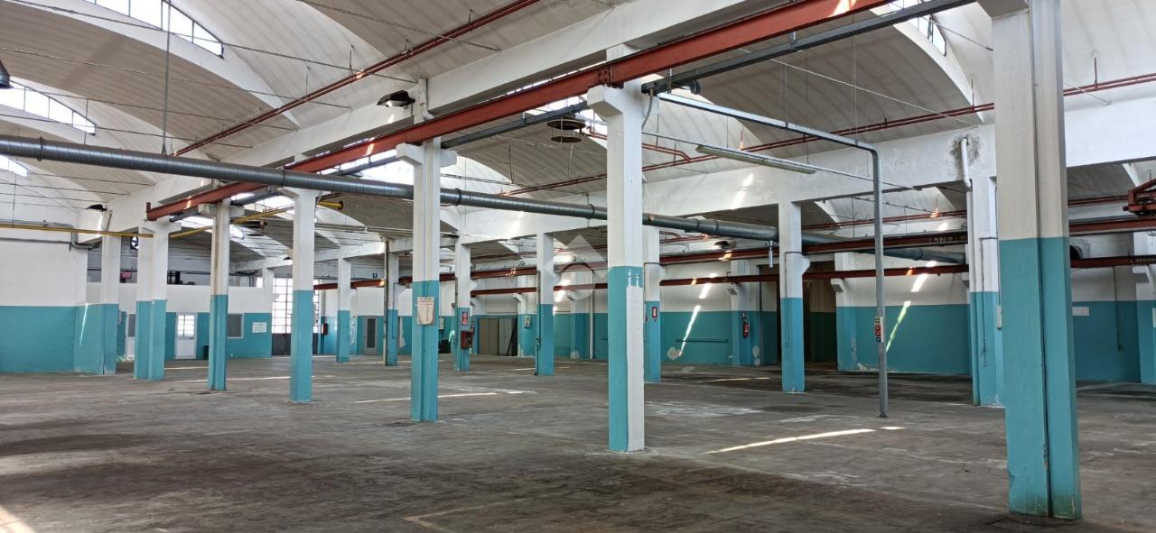 Capannone in affitto a Lonate Ceppino