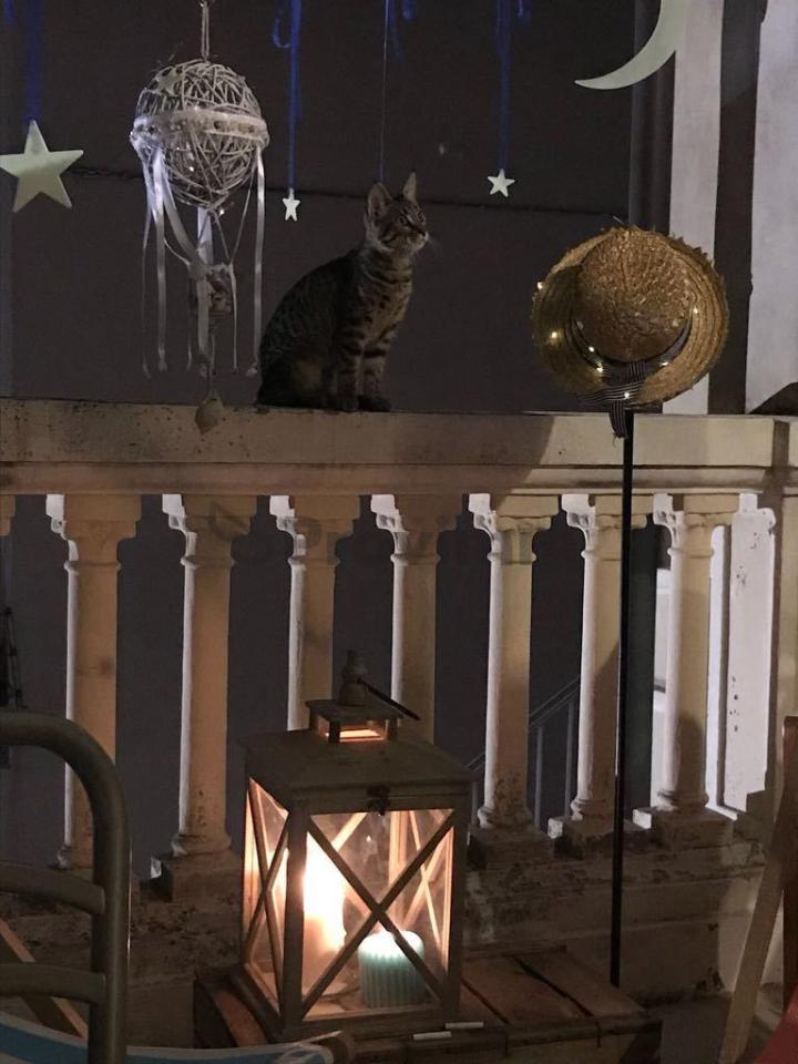 Villa in vendita a Cesenatico