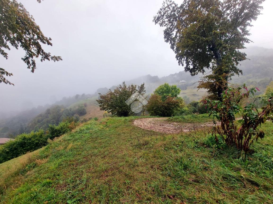 Terreno agricolo in vendita a Pertica Alta