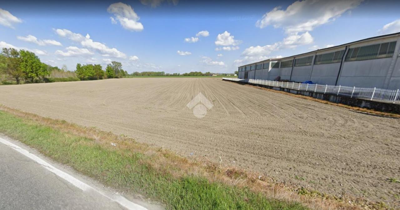 Terreno edificabile in vendita a Castelletto Di Branduzzo