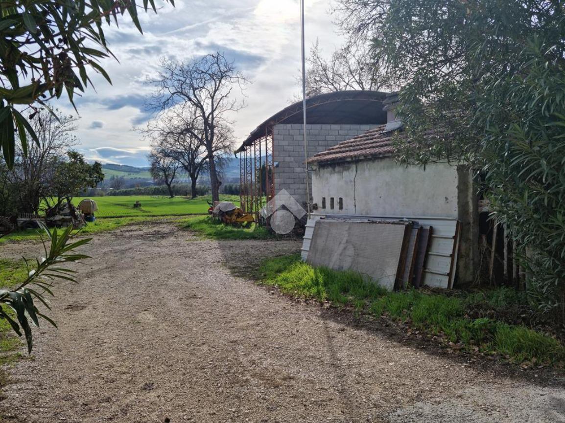 Terreno agricolo in vendita a Notaresco