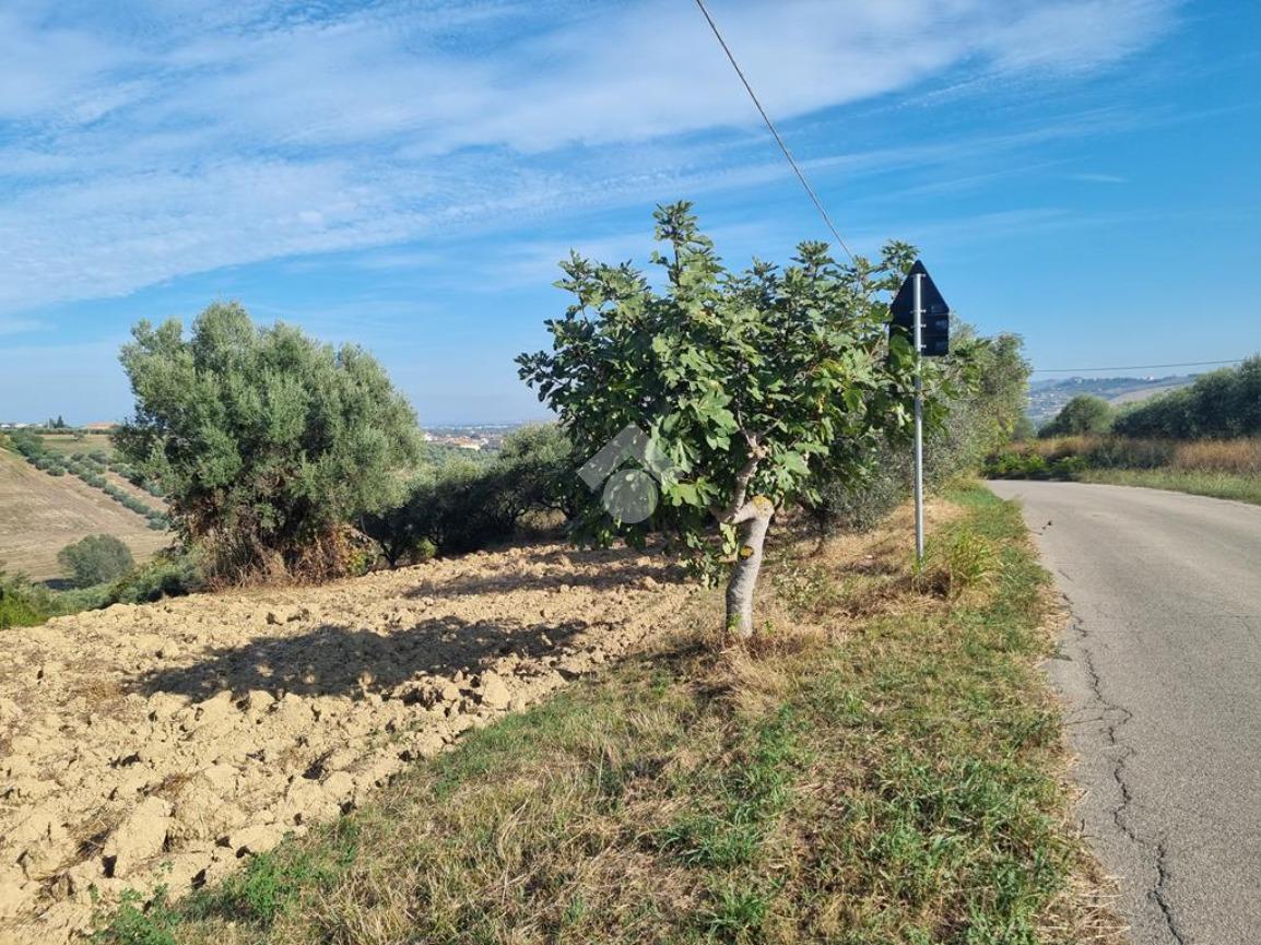 Terreno edificabile in vendita a Morro D'Oro