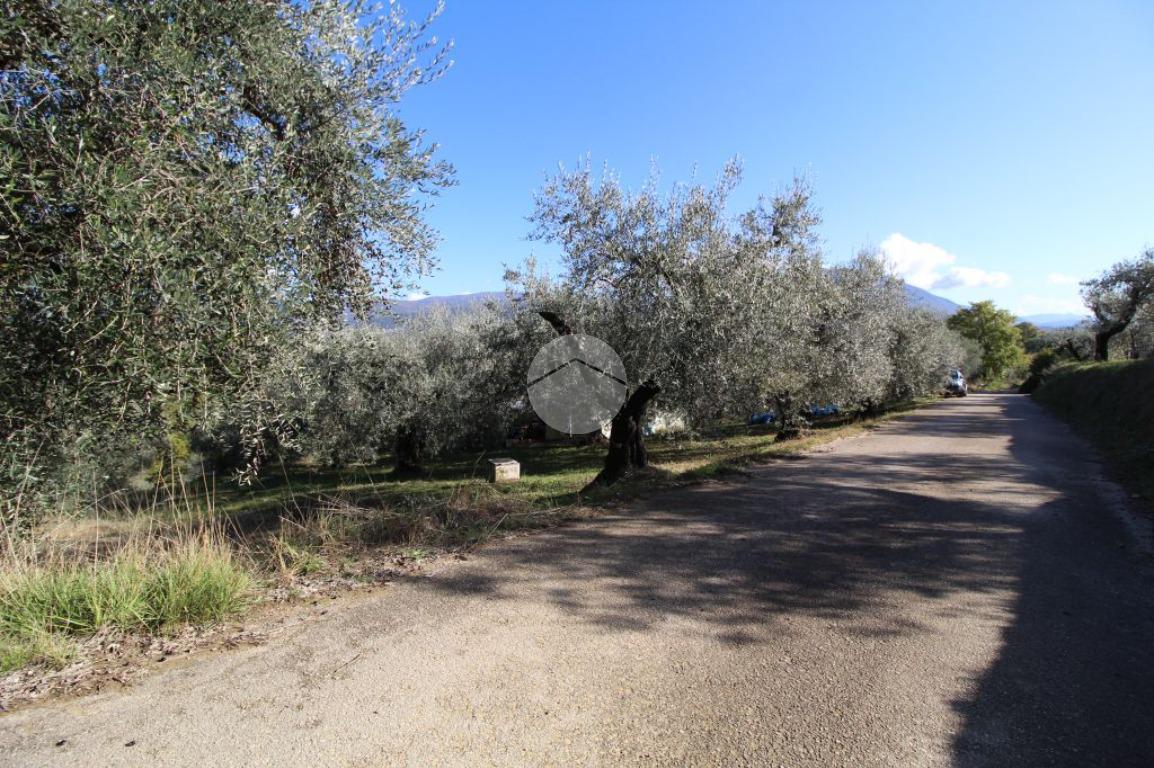 Terreno agricolo in vendita a Moricone
