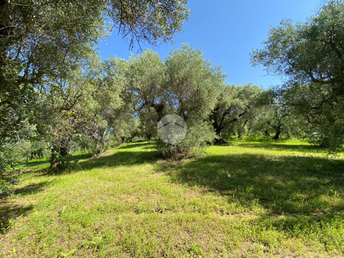 Terreno agricolo in vendita a Palombara Sabina