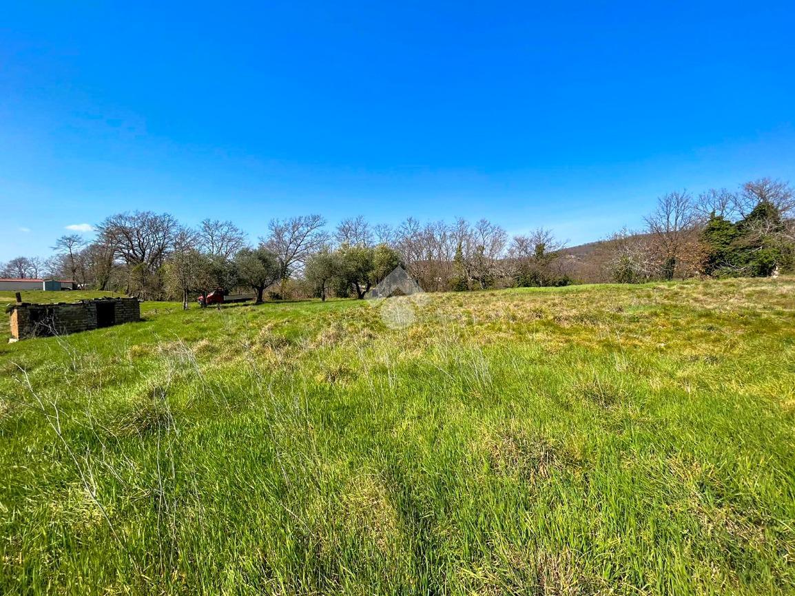 Terreno edificabile in vendita a Manziana