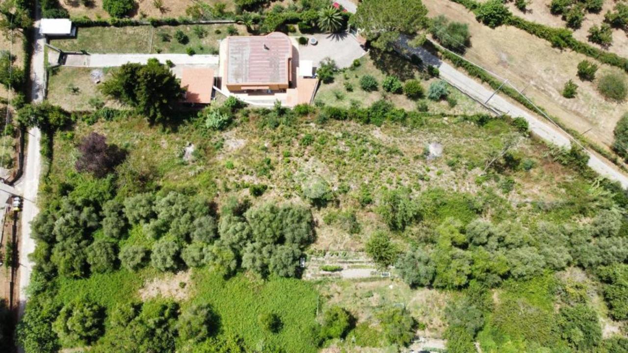 Terreno agricolo in vendita a Manziana