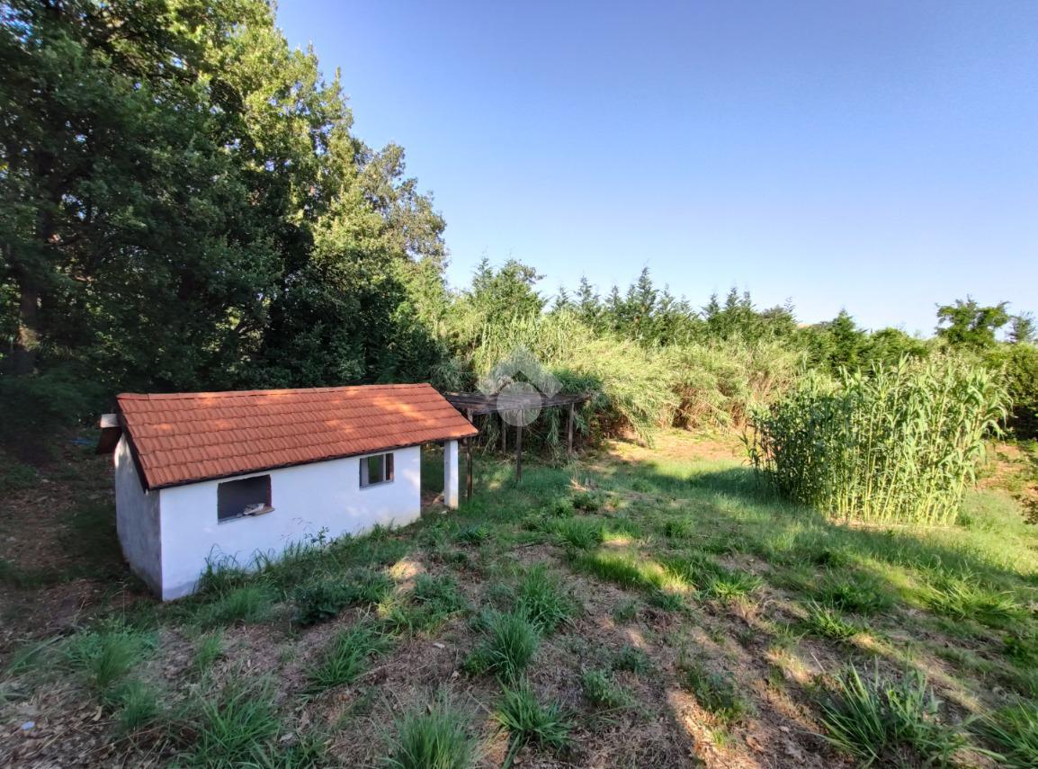 Terreno agricolo in vendita a Boissano