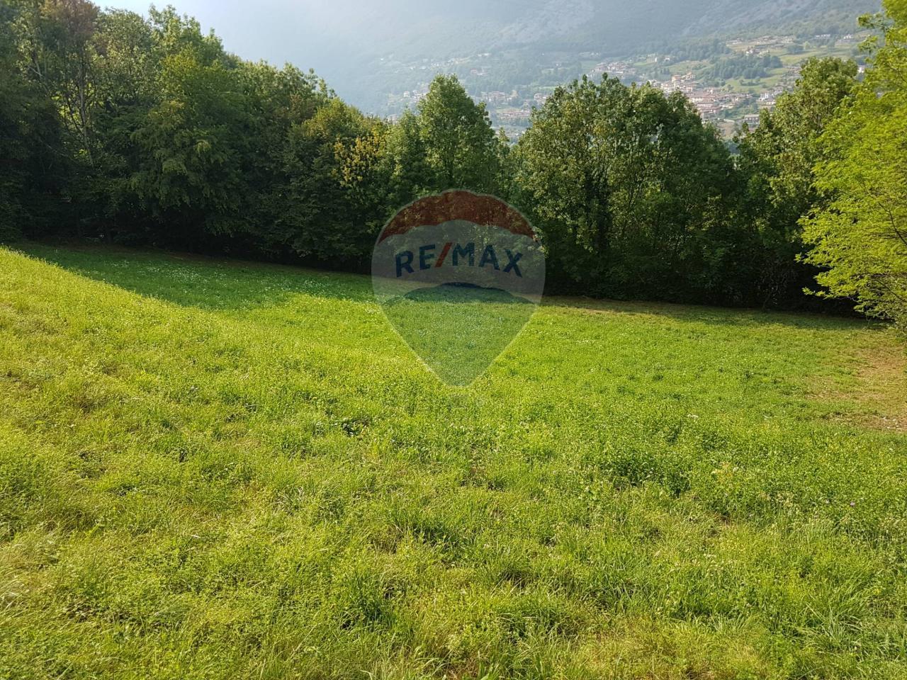 Terreno agricolo in vendita a Endine Gaiano