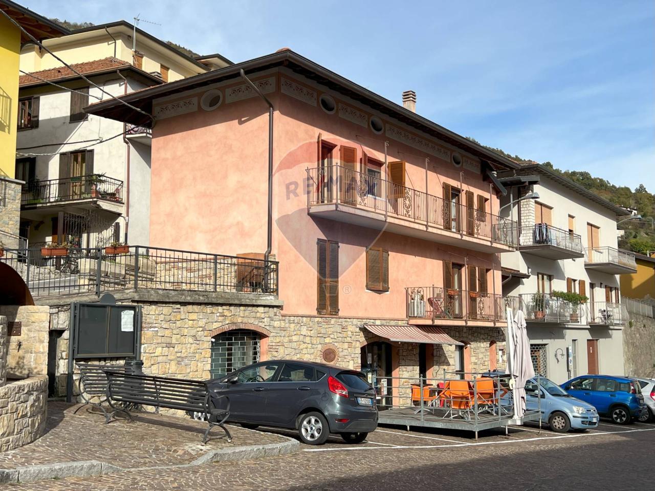 Appartamento in vendita a Fonteno