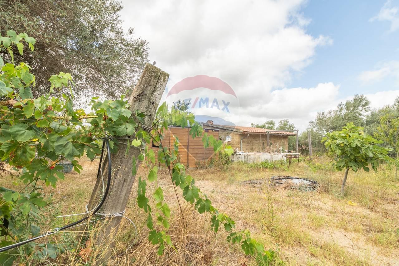 Terreno agricolo in vendita a Canino