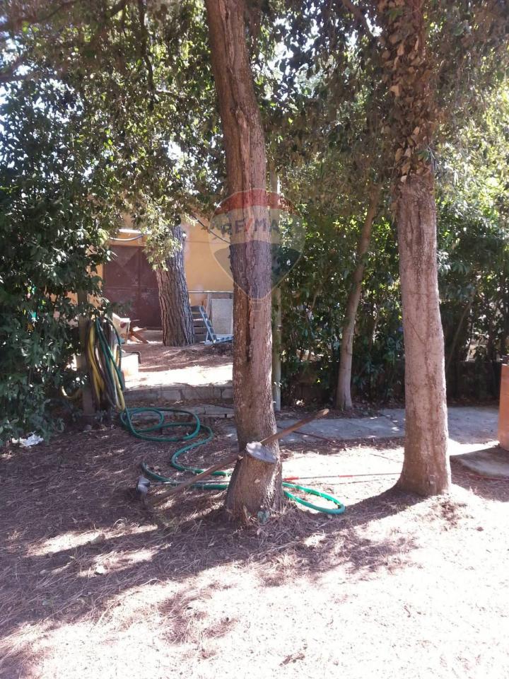 Appartamento in vendita a Piombino