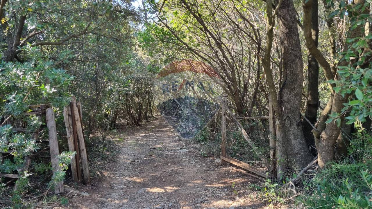 Terreno agricolo in vendita a Campiglia Marittima