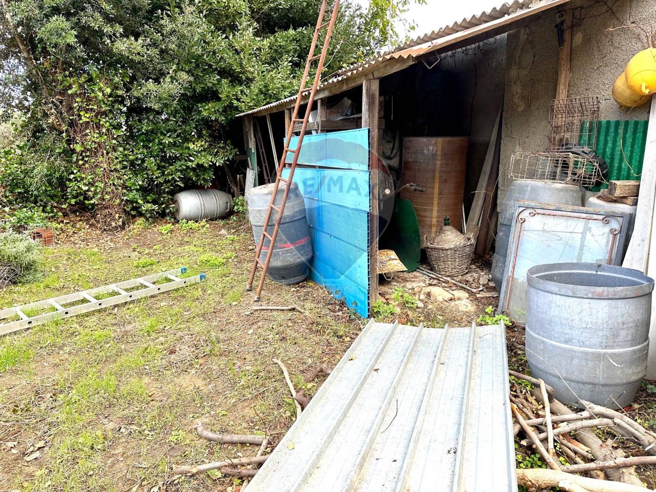 Terreno agricolo in vendita a Piombino