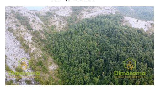 Terreno agricolo in vendita a Firenzuola