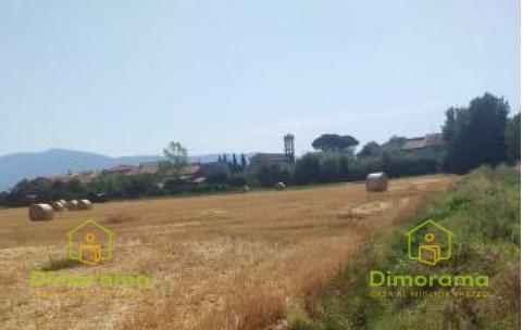 Terreno agricolo in vendita a Prato