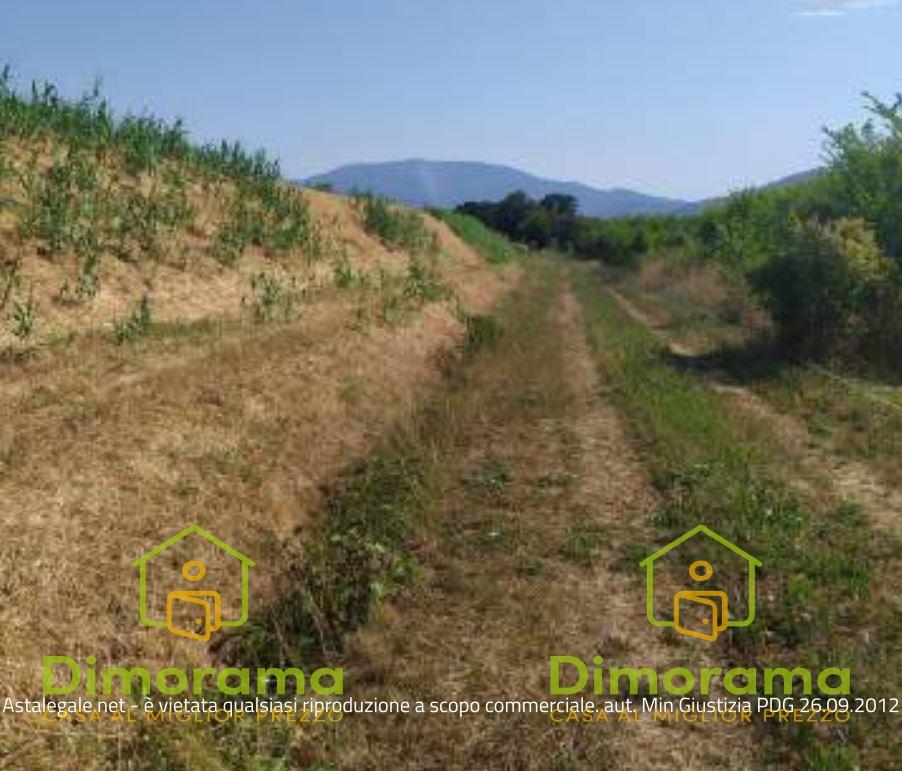 Terreno agricolo in vendita a Prato