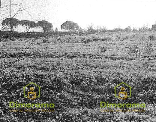 Terreno agricolo in vendita a Montopoli In Val D'Arno