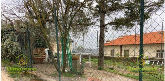 Terreno agricolo in vendita a San Casciano In Val Di Pesa