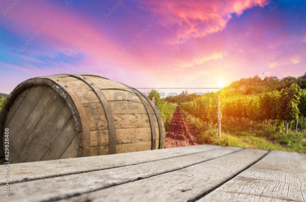 Azienda agricola in vendita a Cervignano Del Friuli
