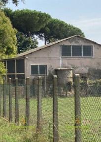 Appartamento in vendita a Manziana