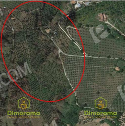 Terreno agricolo in vendita a Poggio Nativo