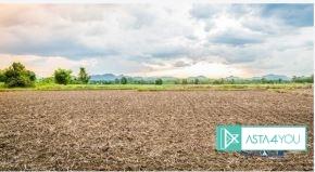 Terreno agricolo in vendita a Abbiategrasso