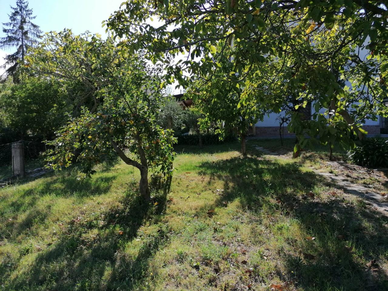 Terreno edificabile in vendita a Fano