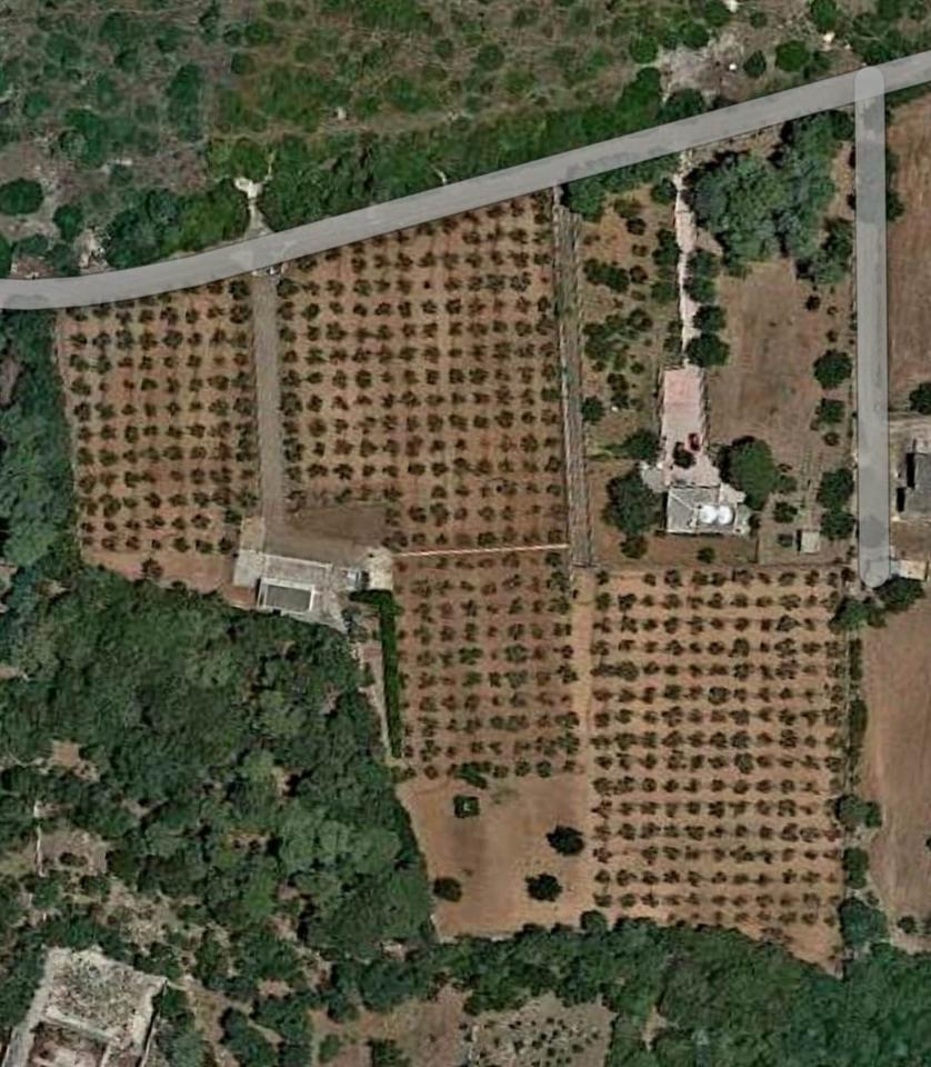 Rustico in vendita a Martina Franca