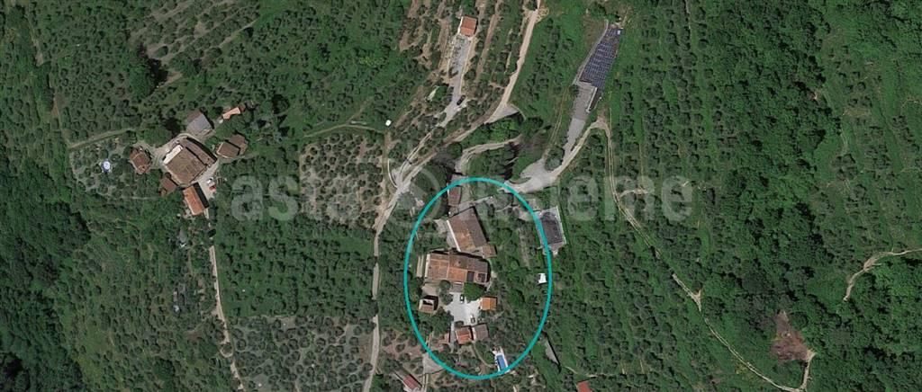 Azienda agricola in vendita a Monsummano Terme