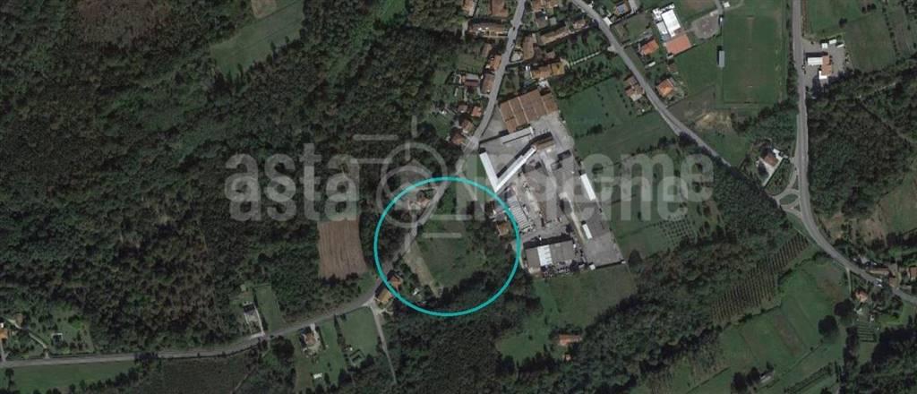 Terreno agricolo in vendita a Castelfranco Di Sotto