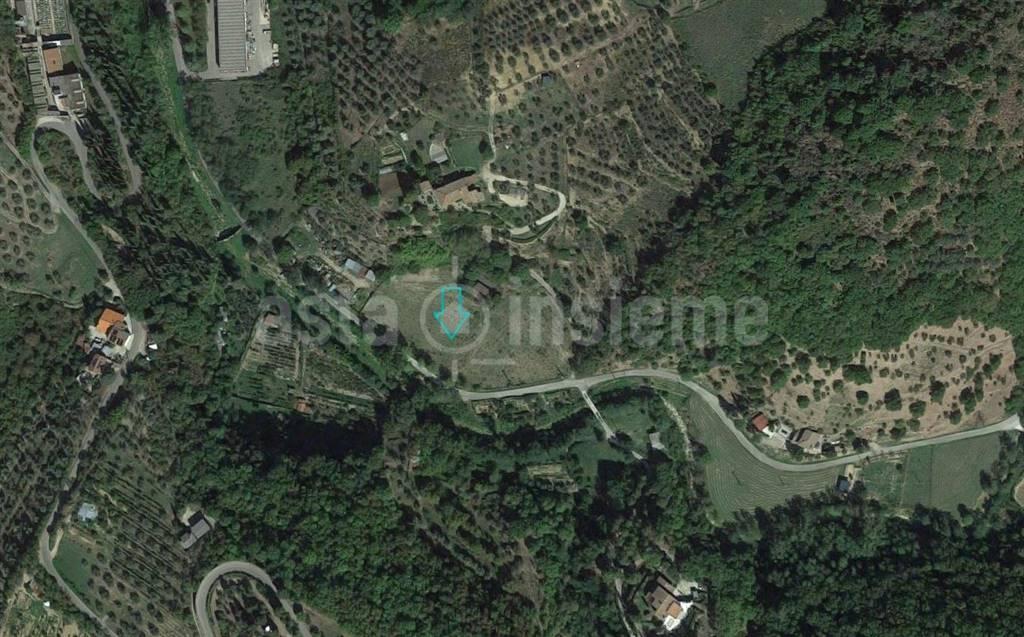 Terreno agricolo in vendita a Rufina