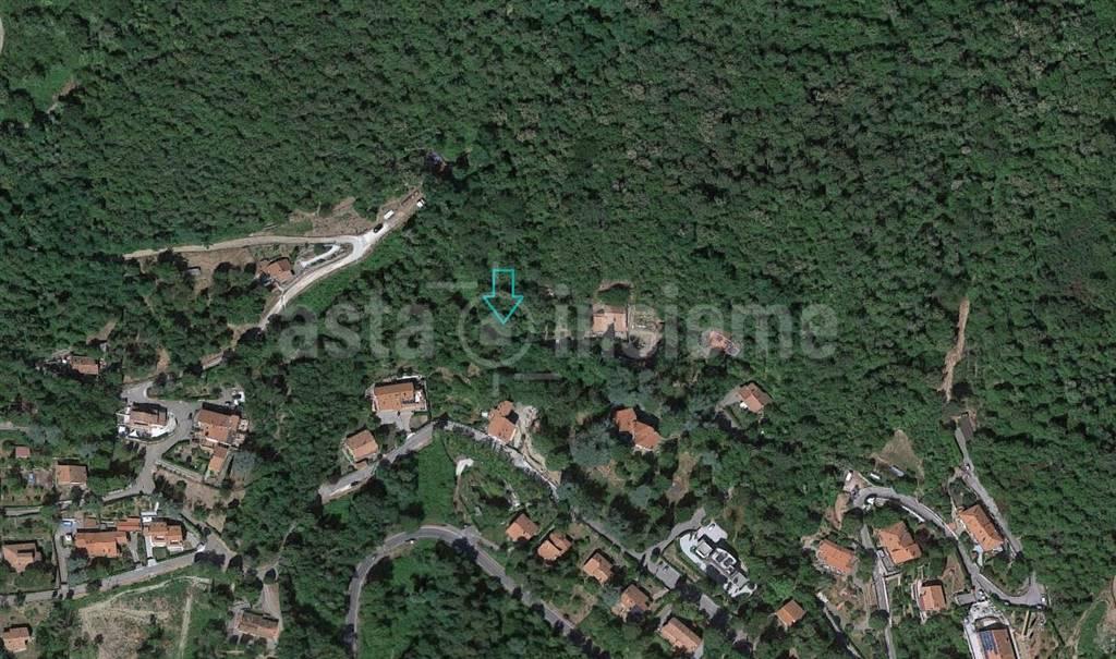 Terreno agricolo in vendita a Vaiano