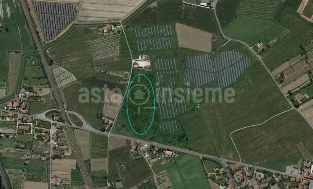Terreno agricolo in vendita a San Miniato