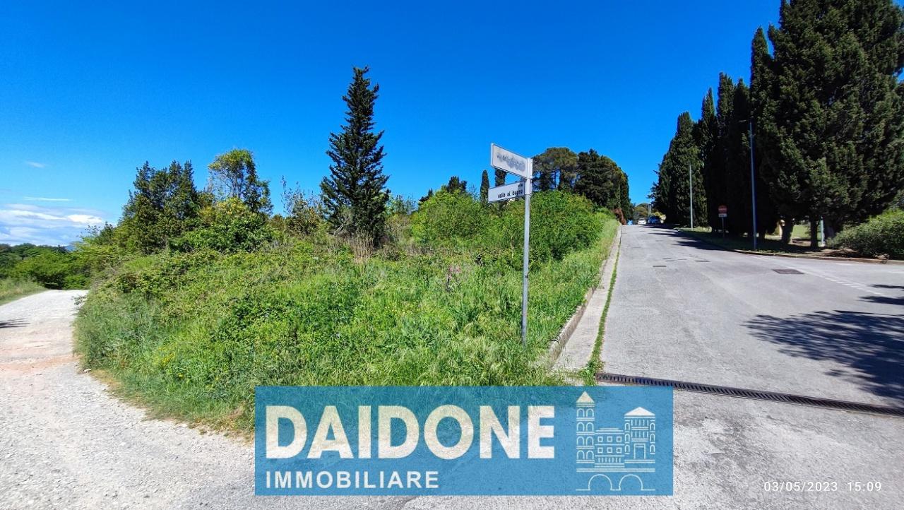 Terreno agricolo in vendita a Collesalvetti