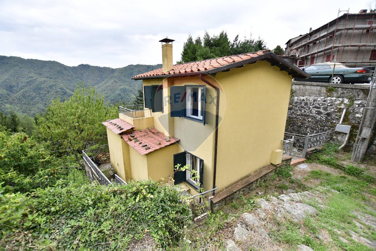 Casa indipendente in vendita a Coreglia Antelminelli