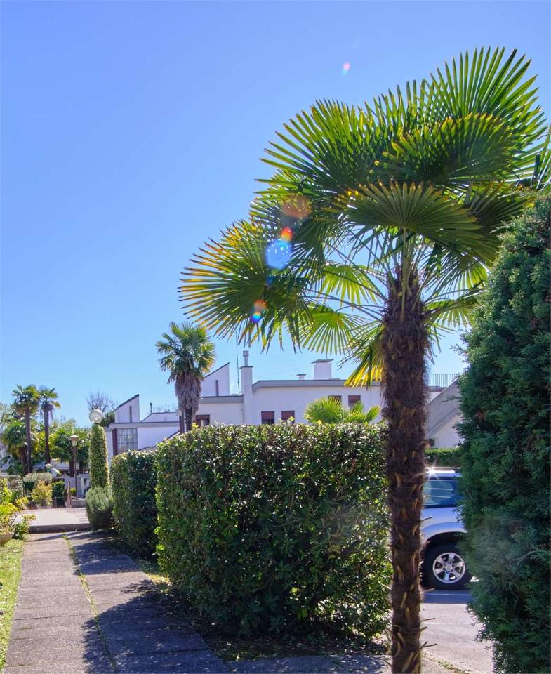 Villa bifamiliare in vendita a San Dona' Di Piave