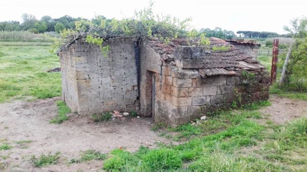 Terreno edificabile in vendita a Nepi