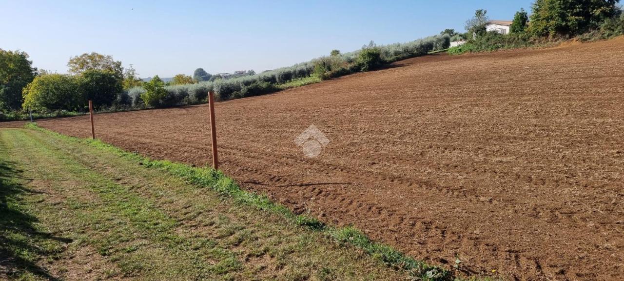 Terreno edificabile in Via Valle Pera, Artena