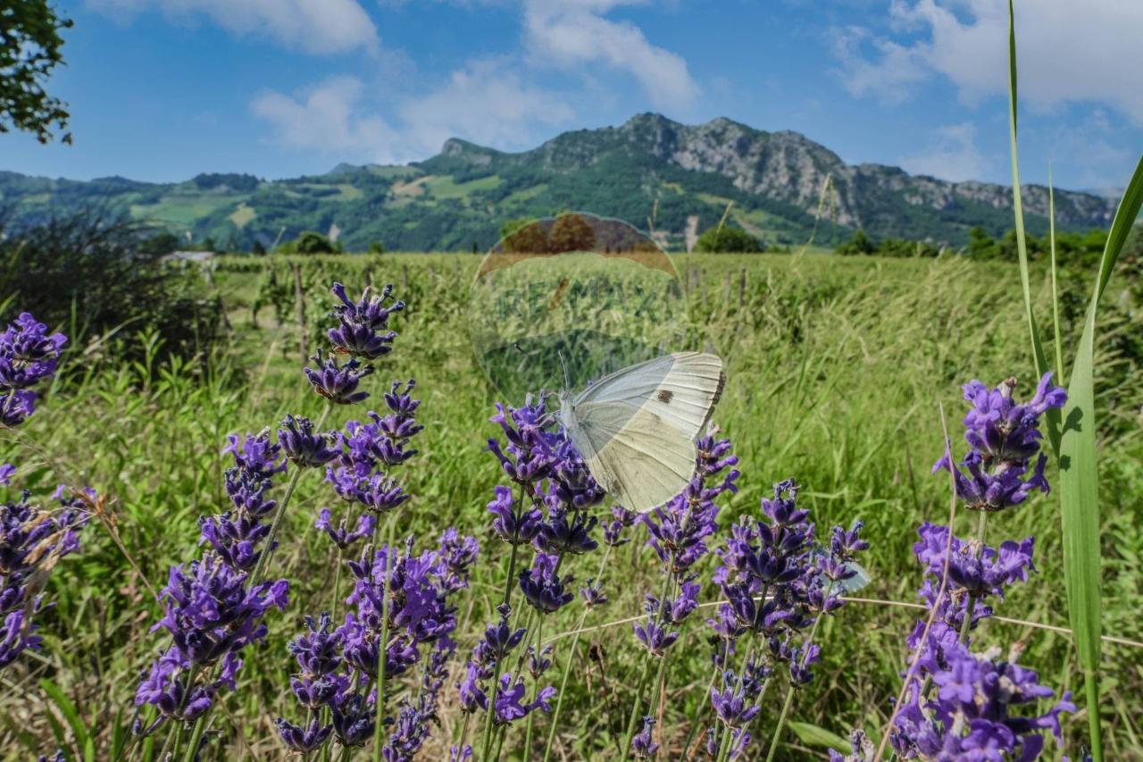 Rustico in vendita a Brisighella