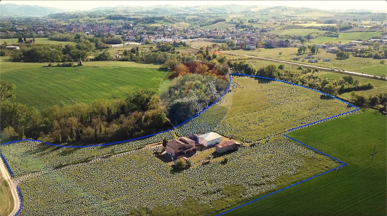 Terreno agricolo in vendita a Meldola