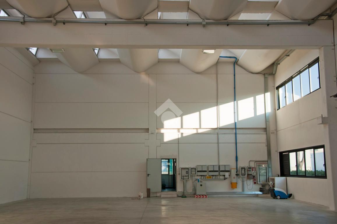 Capannone in affitto a Cesena