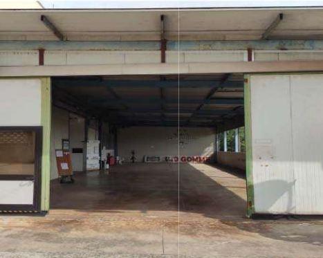 Laboratorio in vendita a Cerea