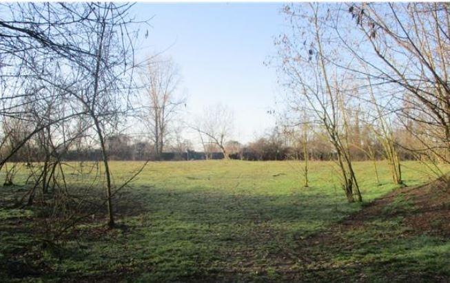 Terreno agricolo in vendita a Cologna Veneta