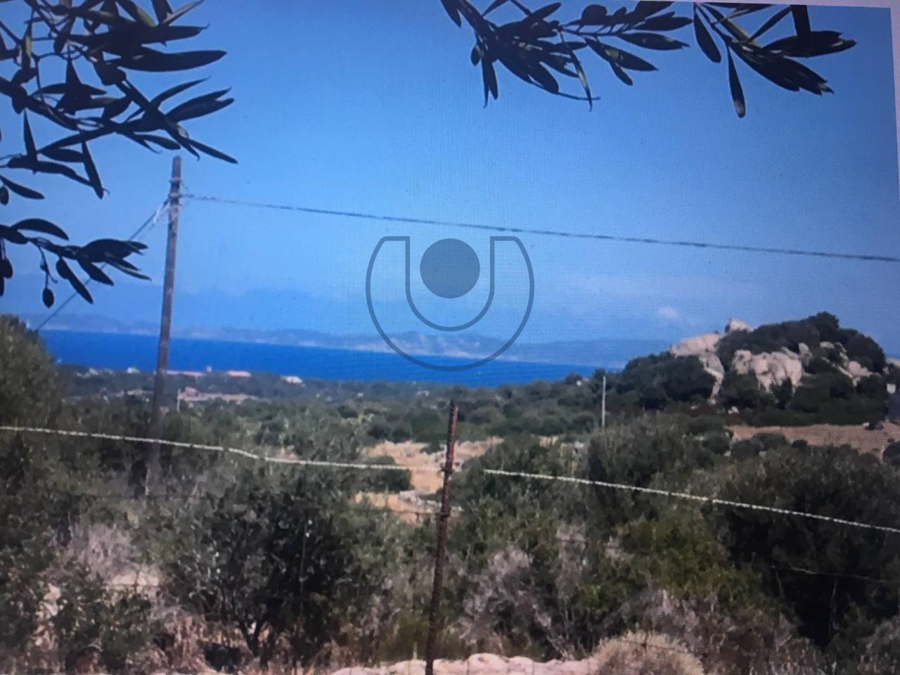 Villa bifamiliare in vendita a Trinità d'Agultu e Vignola