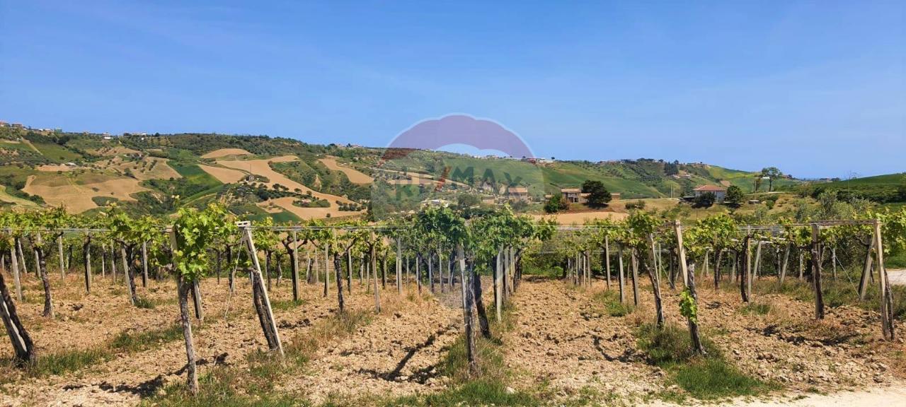 Terreno agricolo in vendita a Silvi