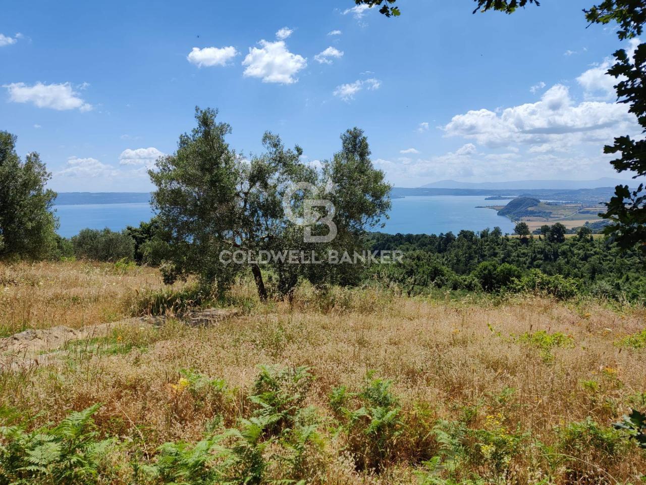 Terreno agricolo in vendita a Gradoli
